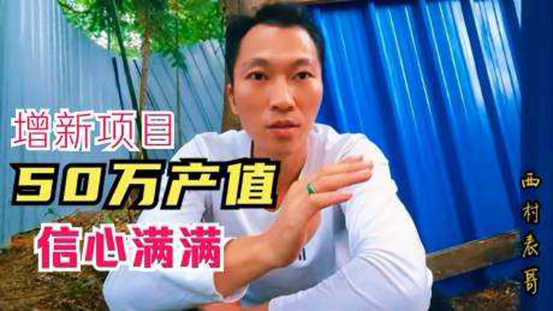 西村表哥增加新创业项目,年赚50W目标,是啥让他信心满满?