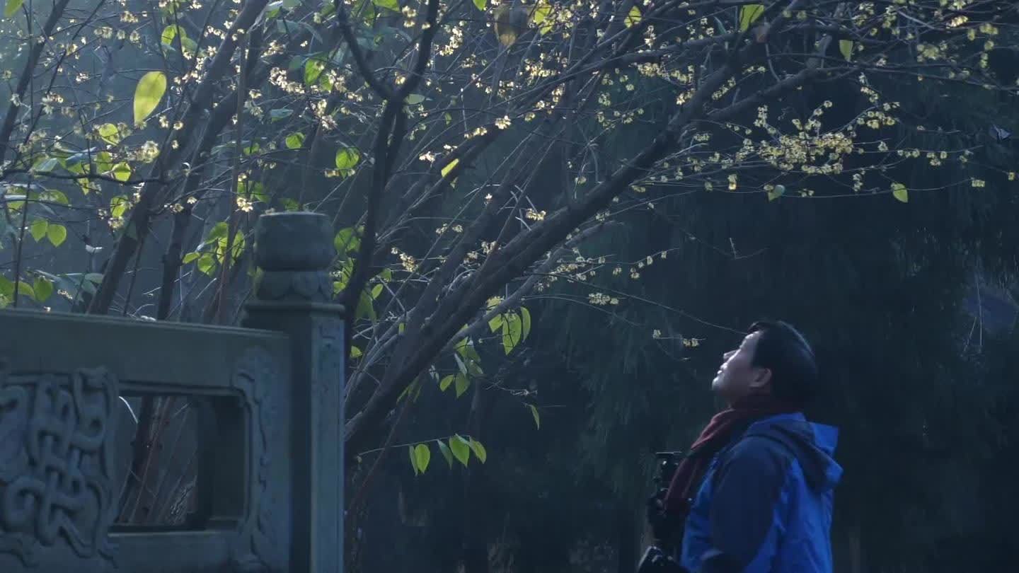 禅意摄影的前期拍摄课程-人生感悟片段(八)