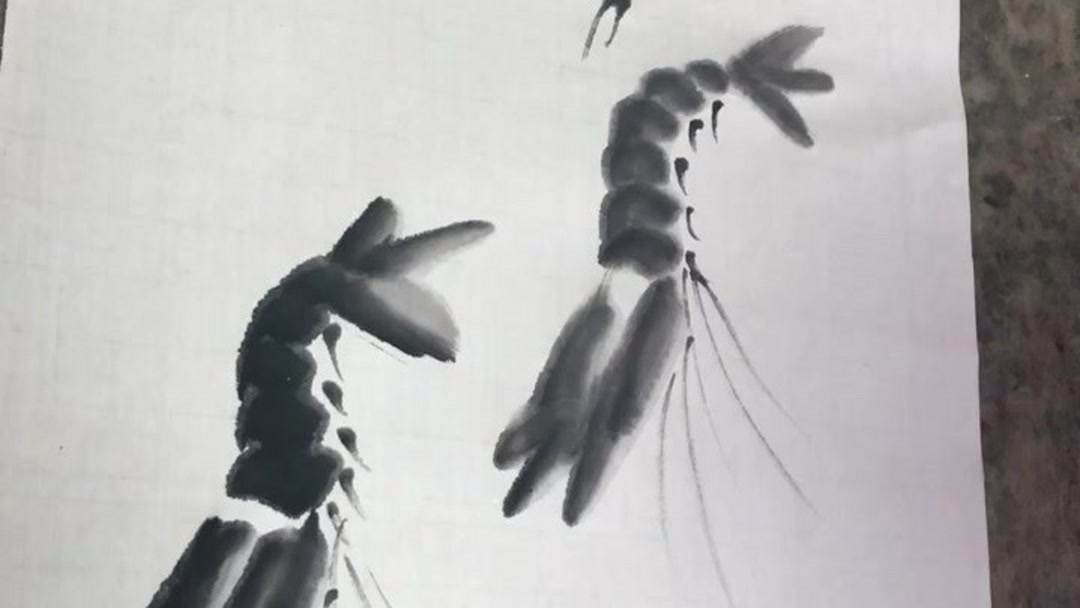 水墨虾画法