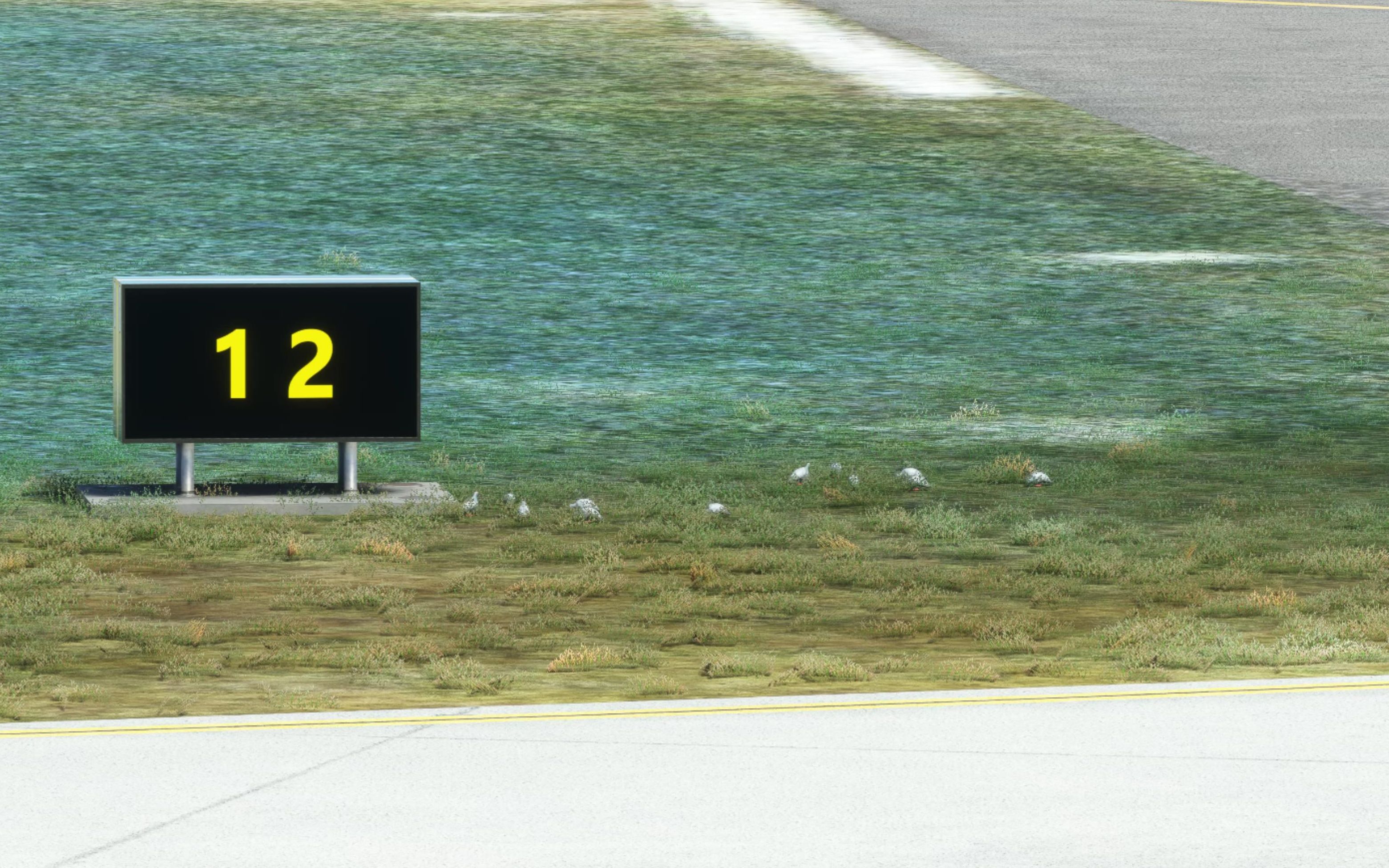 【微软模拟飞行2020】跑道旁那么多鸽子,居然没出事。