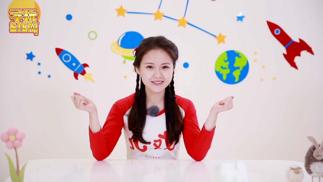 STEM入门玩具教程:野生动物园