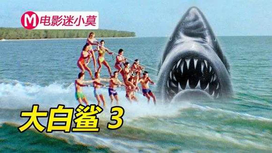 海洋灾难片,大白鲨误入海洋公园意外死亡,鲨鱼妈妈疯狂寻仇报复