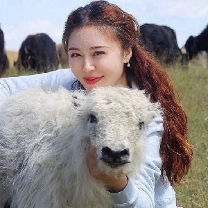 骑着马的美人鱼 