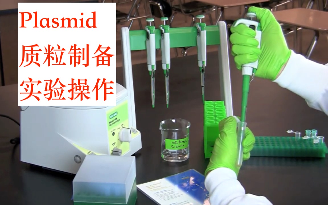 如何进行质粒小量制备(实验操作)