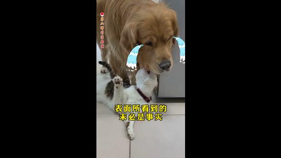 表面所看到的,不一定是事实!你以为的事实不一定是真相。