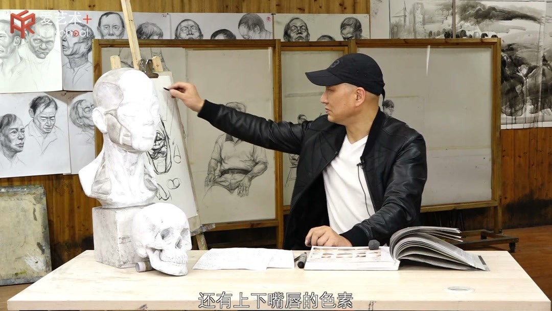 19嘴部结构讲解