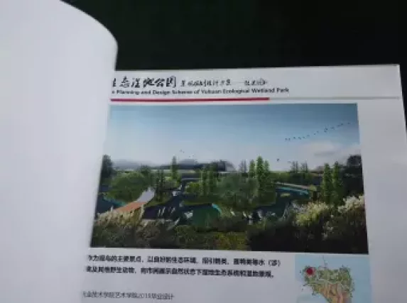 2019艺术学院艺术设计专业毕业作品