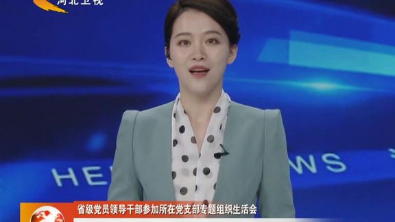 河北省级党员领导干部参加所在党支部专题组织生活会