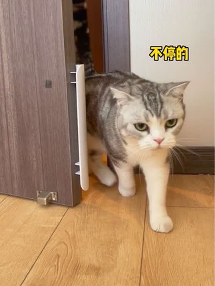 自从装了这个宠物自动关门器,这个夏天再也不用担心空调房里那扇大...