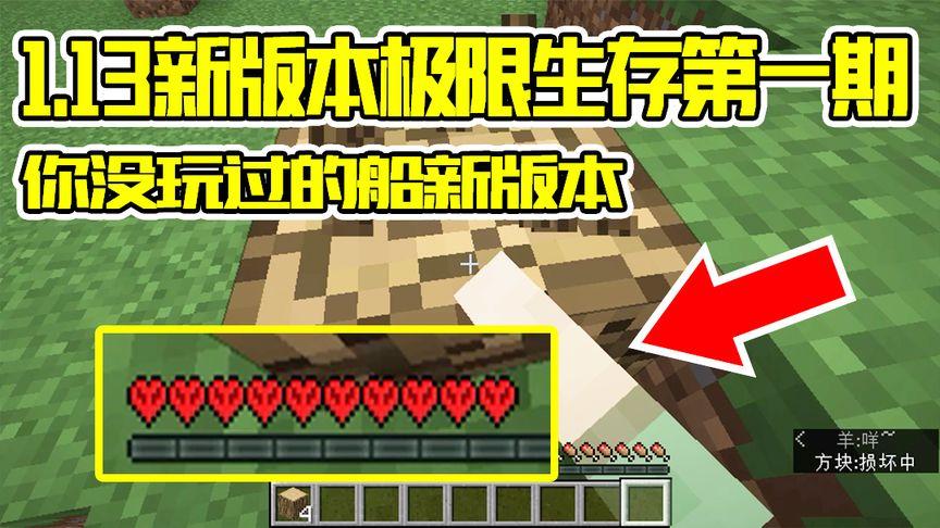 我的世界:1.13新版本极限生存第一期,想致富先撸树!