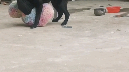 运动时 要保证周围环境的安全