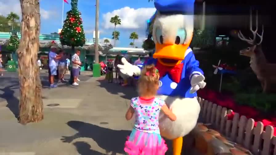 哇,这里好多可爱的小动物在表演!