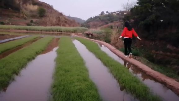 春天是播种和收获的季节,就是不知道沙漠蝗会不会来抢粮食