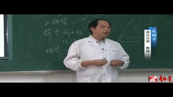 浙江大学老师主讲系统解剖学精品公开课:第36讲