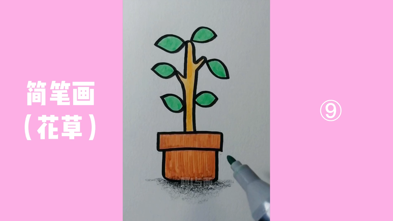 【花草简笔画】09:分享各种花草的简笔画,试试吧