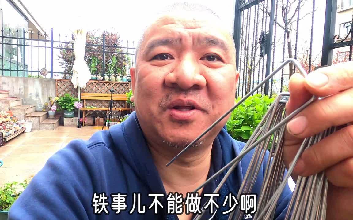 ...挡光了怎么办?老手巧用U形钉给绣球花拉枝的方法