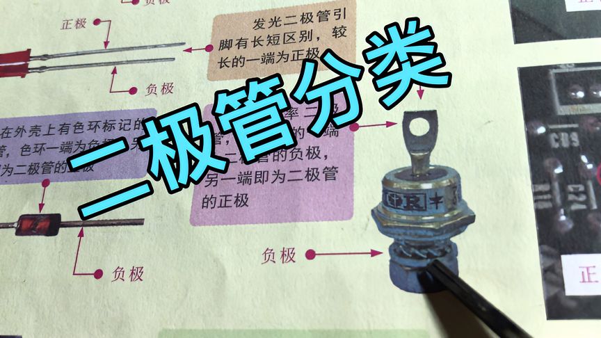 二极管有哪些种类?老师傅重点知识分享