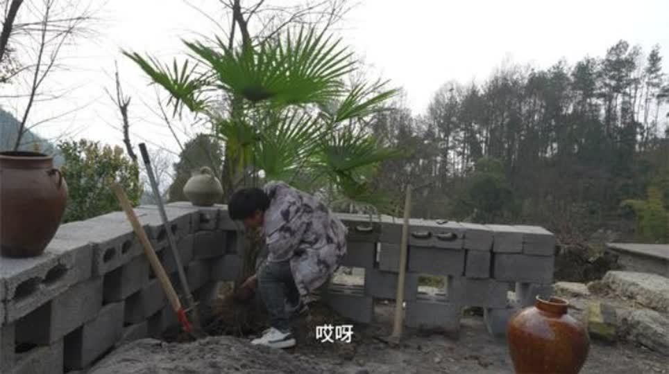 90后夫妻自己改造农村小院,到原始森林挖绿植美化环境,打造心中世外...