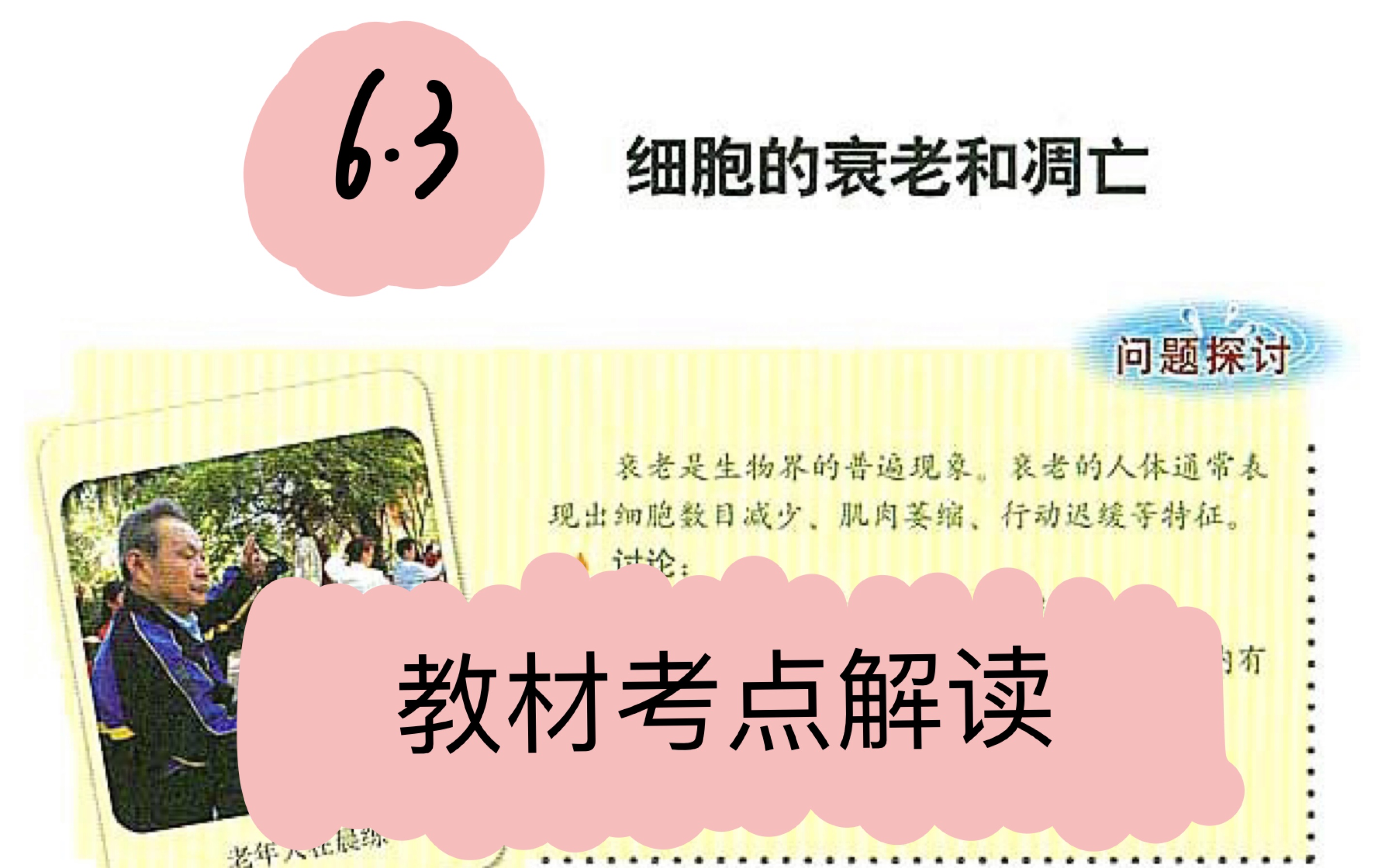 细胞的衰老与凋亡 坏死 课本考点解读 高三一轮复习 预习 人教版 必修一