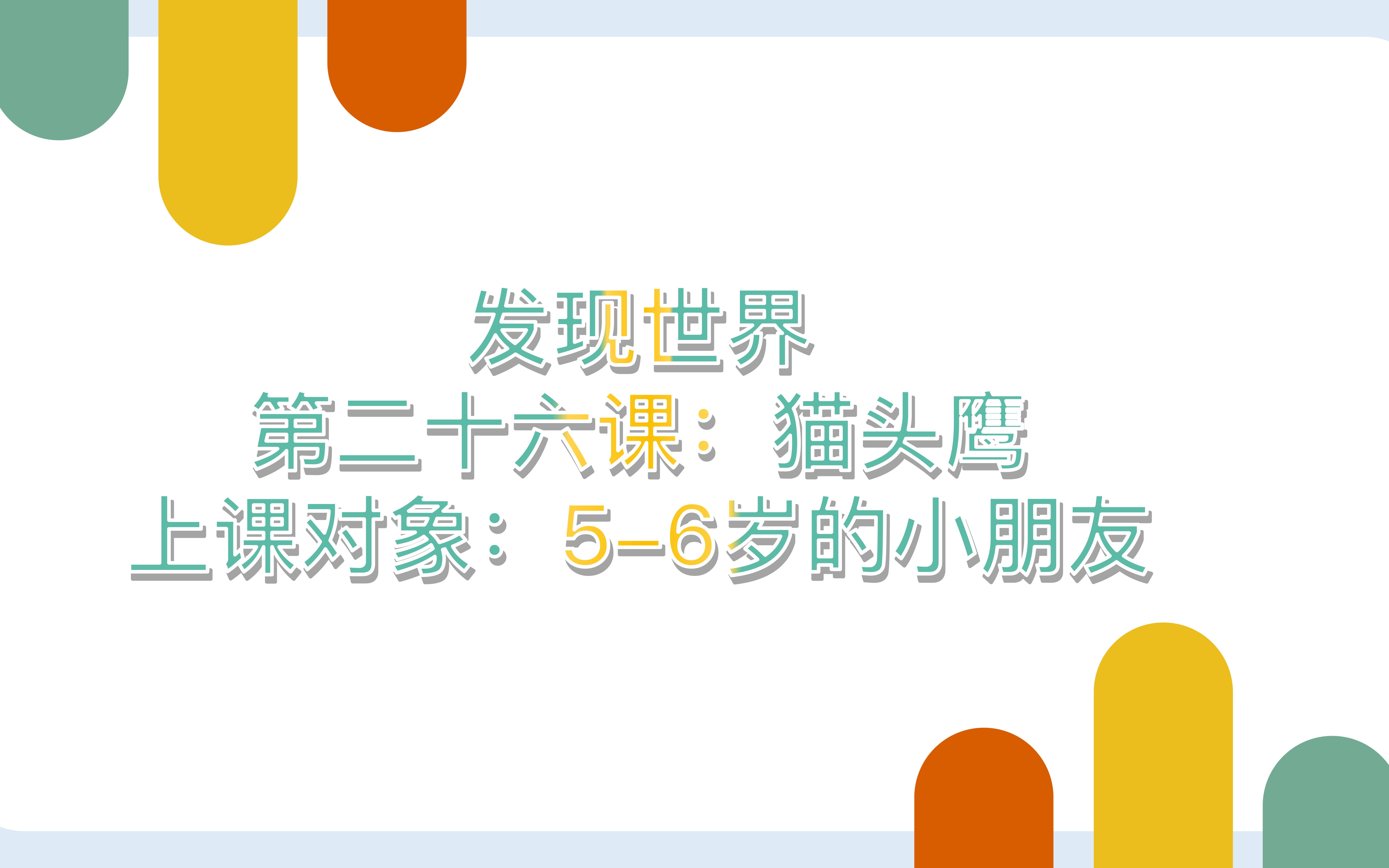 乐高大颗粒-嘎嘎老师小课堂-猫头鹰