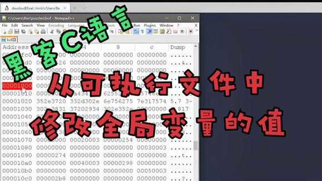 破解并魔改游戏的套路,从编译后的C语言程序中修改变量的值