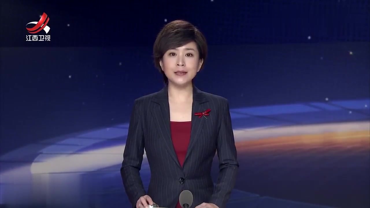 全省系统打击治理电信网络诈骗犯罪工作调度推进视频会举行