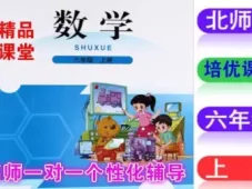 六年级数学上册 培优课堂46 合格率 练一练B 第42页