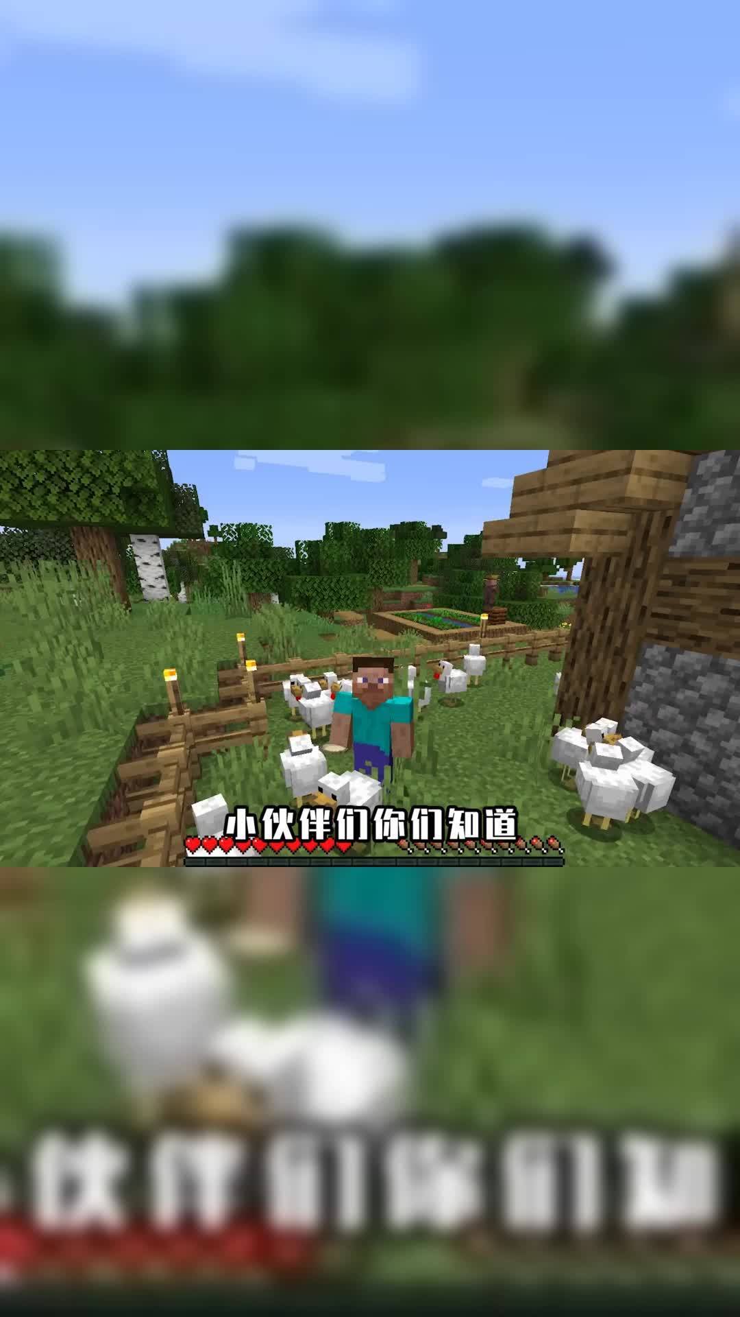 我的世界:当MC鸡蛋能砸出神器,只需一个养鸡场,钻石花不完