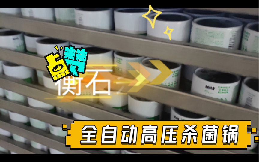 全自动高压杀菌锅