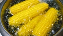 煮完玉米的水，一定不要再倒掉了，看完才知道作用真的太大了