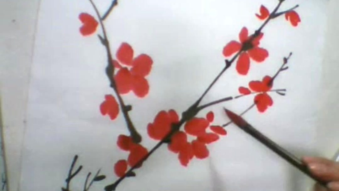 中国画梅花的画法技法教学视频点梅(国画教程)【全部}