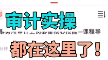 审计实操技能,都在这里了!