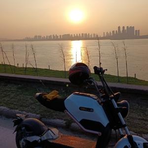 骑着乌龟去逛街 