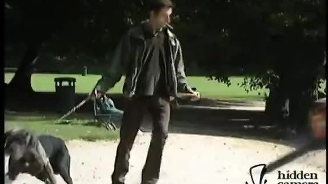 搞笑视频_搞笑图片_吸走你的小狗狗