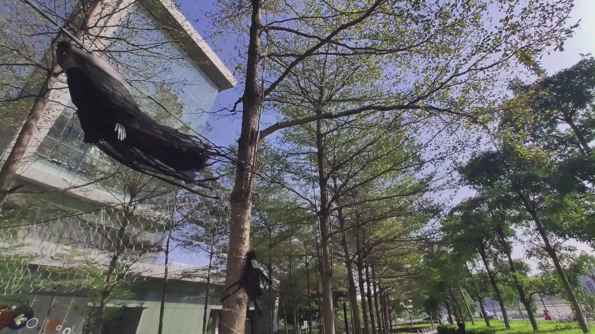 ...中),包含实时的chinadaily和nhk新闻,以及《高级英语》上下册的听力