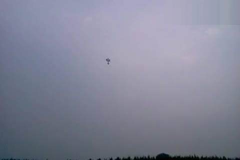 上党航模3D油机吊机