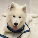 永远的沐沐 