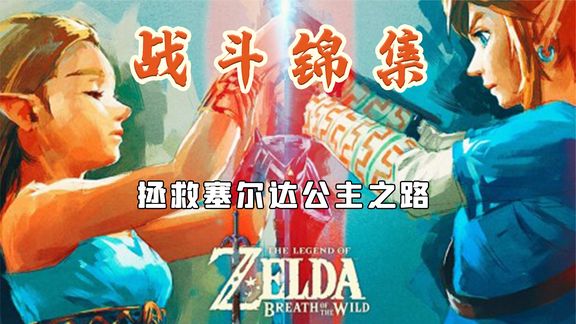 大佬们的战斗锦集—林克拯救公主之路!【塞尔达传说:荒野之息】