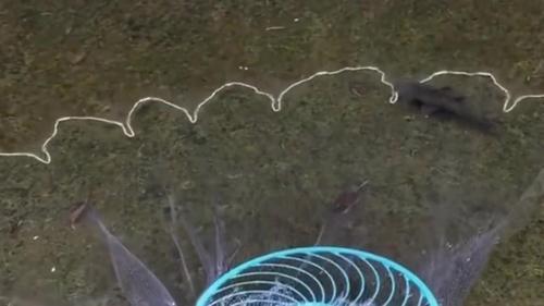 户外撒网捕鱼的大哥,清水中演示鱼是怎么进网的,原理原来这么简单