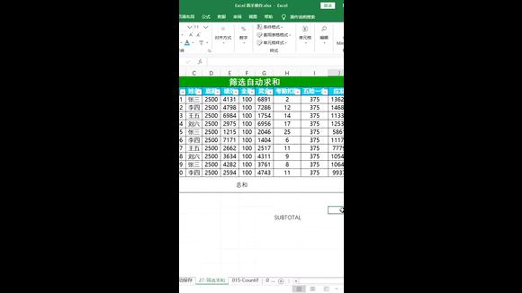 Excel 筛选后数据自动求和-subtotal函数#玩转office#