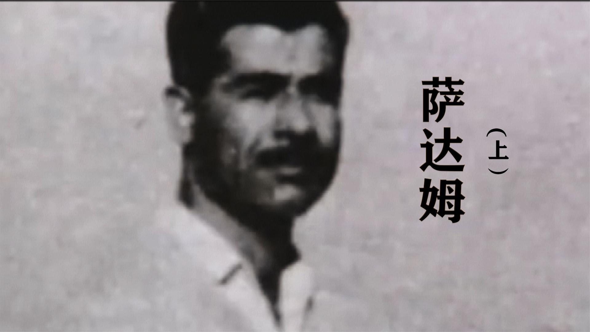 萨达姆:从一介平民到伊拉克总统,萨达姆究竟经历了什么?