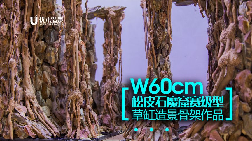 W60cm松皮石魔窟赛级型的草缸造景骨架-[作品]