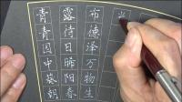 丁元亮硬笔书法.长歌行