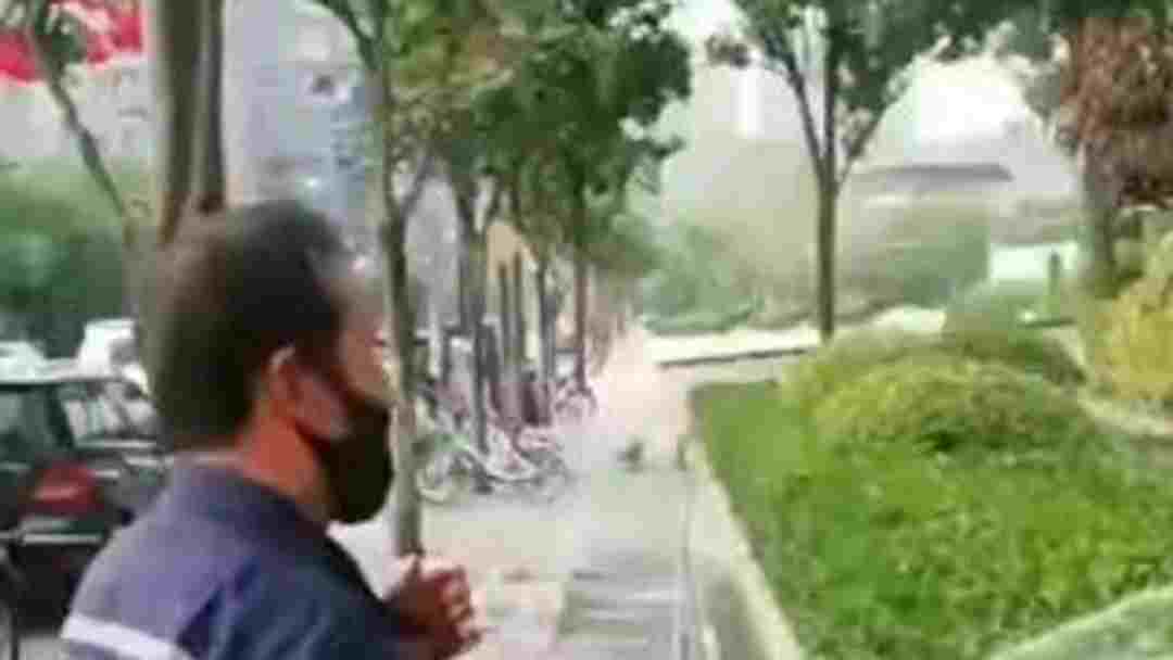 养护绿植修剪大树修剪草坪栽种。嘉润园林
