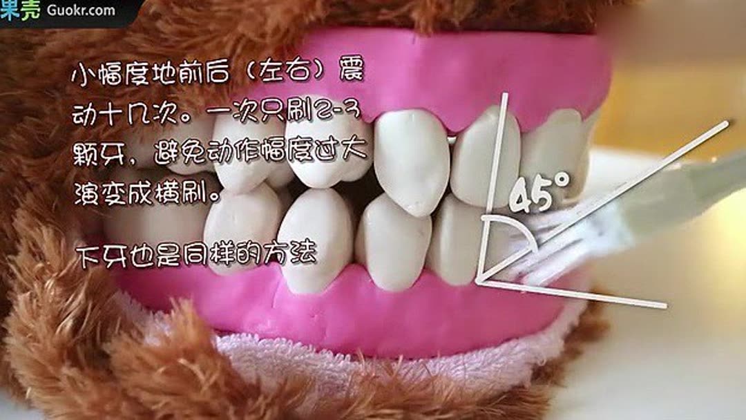 动漫版儿童巴氏刷牙法