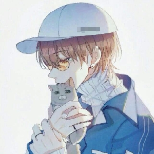 电光侠元帅 