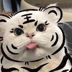 我是upupuup 