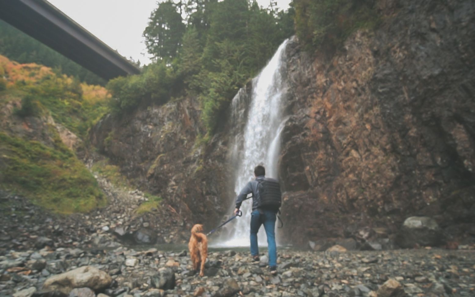 真的需要升级你手中的稳定器么?