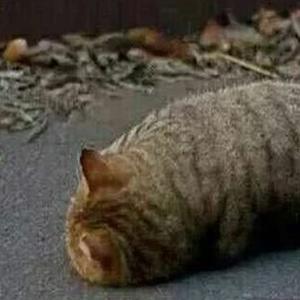 我还想继续操作 