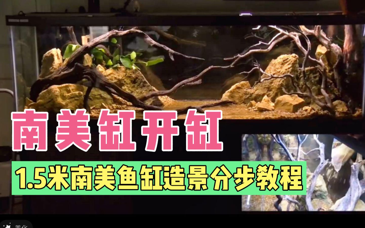 史上最详细1.5米南美鱼缸,开缸造景分步教程,必收藏!